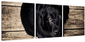 Obraz černého štěněte (s hodinami) (90x30 cm)