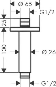Hansgrohe Přívod od stropu 10 cm matná černá / Přívod od stropu / prům