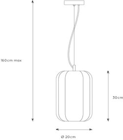 Lucide 25409/01/30 - Lustr na lanku FERN 1xE27/60W/230V