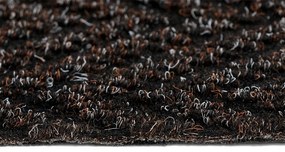 Vebe, Čistící zóna Boomerang 80 hnědá, na míru, šíře 1m,2m, hnědá, guma (gel - protiskluzový), chodba / předsíň