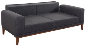 Hanah Home Dvoumístná pohovka LIONES antracitová 223 cm
