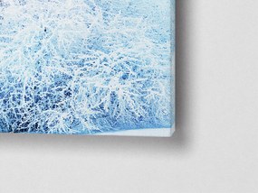 Liox Obraz Jelen v zimní krajině Rozměr: 100 x 65 cm