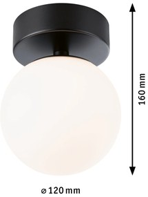 Paulmann 71071 Gove, koupelnové stropní svítidlo LED 5W 3000K, černá, průměr 12cm, IP44