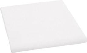 Bellatex Plátěné prostěradlo plachta Bílá rozměr 260x230 cm