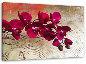 Obraz na plátně Textura květu orchideje - 60x40 cm