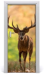 Fototapeta samolepící na dveře jelen v lese 75x205 cm