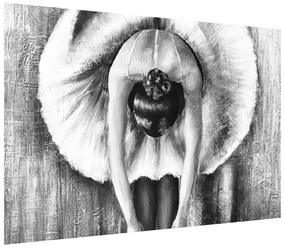 Černobílý obraz baletky (100x70 cm)