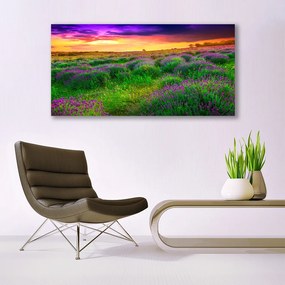 akrylový obraz Louka Příroda 120x60 cm