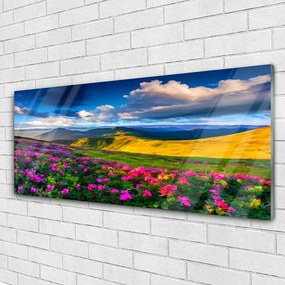 akrylový obraz Louka Květiny Příroda 125x50 cm