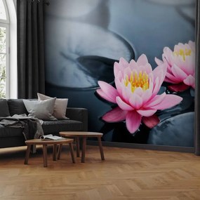 Fototapeta Lotus blossoms