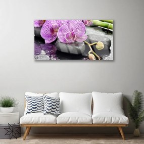 Plexisklo-obraz Kameny Zen Orchidej Lázně 100x50 cm