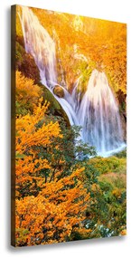Wallmuralia Vertikální Foto obraz na plátně Vodopád podzim 50x100