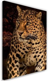 Obraz na plátně Leopardí zvířata Příroda - 70x100 cm