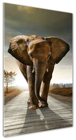 Wallmuralia Vertikální Foto obraz skleněný svislý Chodící slon 50x100