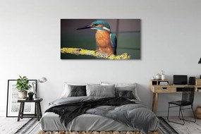 akrylový obraz Barevný pták na větvi 140x70 cm