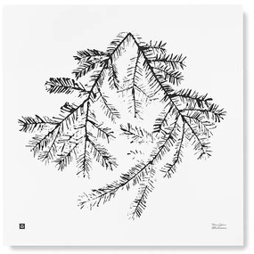 Plakát Spruce Branch 50x50