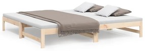 vidaXL Výsuvná postel 2x(100x200) cm masivní borovice
