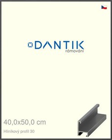 DANTIK rámeček 40x50 | ALU profil 6030 Dýha barevná šedá tmavá (Plexi Čiré)