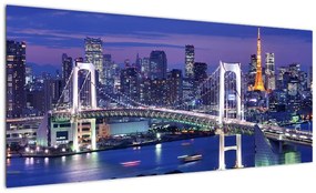 Obraz osvětleného mostu (100x40cm)