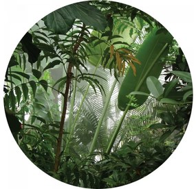 Samolepicí fototapeta Džungle 70x70 cm CR3213 Jungle / kruhové samolepicí vliesové dekorace La Form (ø 70 cm) AG Design