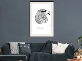 Plakát Orel svobody - černobílá kompozice s dravým ptákem ve vzorech