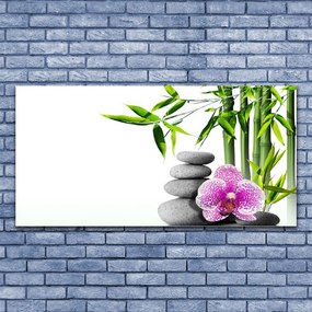 akrylový obraz Bambus Kameny Zen Umění 120x60 cm