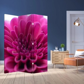 Paraván - Květina (126x170 cm)