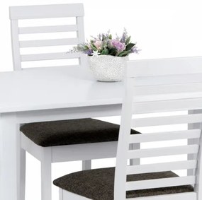Jídelní set masiv pro 4 osoby 4 židle a stůl 120x75 bílý AUT-4000 WT