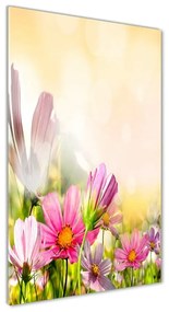 Wallmuralia Vertikální Foto obraz sklo tvrzené Polní květiny 50x100