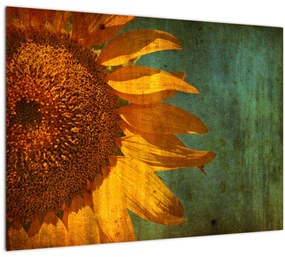Obraz - Slunečnice (70x50 cm)