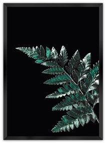 Plakát Dark Fern Leaf