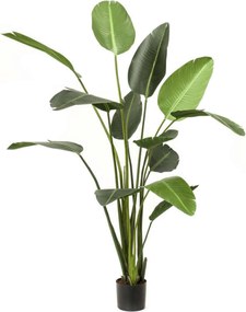 Strelitzia umělá V 190 cm