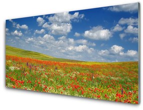 Obraz na skle Louka Květiny Krajina 125x50 cm