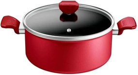 Tradiční Hrnec Tefal Daily Expert 4,5 l
