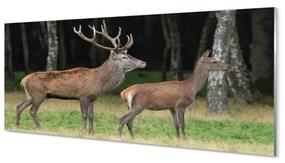 akrylový obraz jelen lesní 120x60 cm