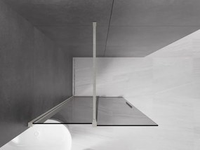 Mexen Velar, sprchová zástěna s posuvnými dveřmi Walk-in 120 x 200 cm, 8mm šedé sklo, broušená ocel, 871-120-000-43-97