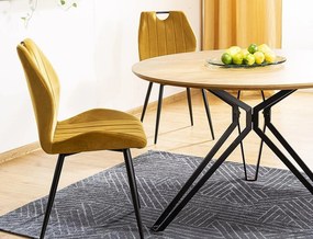 Čalouněná jídelní židle Arco Velvet - výběr z 4 provedení