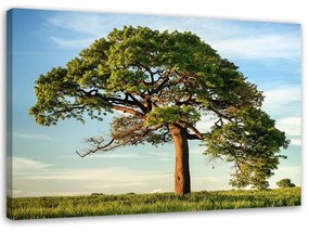 Gario Obraz na plátně Velký strom Rozměry: 60 x 40 cm