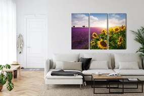 Vícedílný obraz Levandulová A Slunečnicová Pole 3D Nedostatek Nedostatek Přírodní plátno 60x40