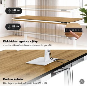 Elektrický psací stůl sit-stand se zásuvkou a bezdrátovou nabíječkou Qi bílý/zlatý dub, 1600 mm: ELLIS