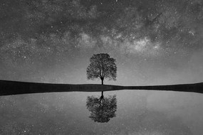 Samolepící fototapeta černobílá hvězdná obloha nad osamělým stromem - 150x100 cm