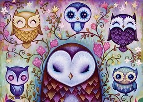HEYE Puzzle Dreaming: Velká sova / 1000 dílků / 50 x 70 cm