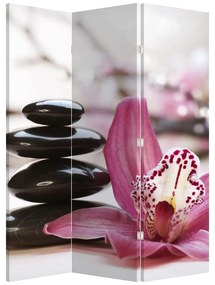 Paraván - Masážní kameny a orchideje (126x170 cm)