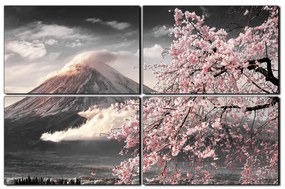 Obraz na plátně - Hora Fuji a třešňové květiny na jaře 1266QE (90x60 cm)