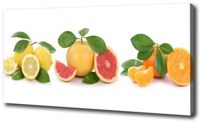 Wallmuralia Foto obraz na plátně Citrusové ovoce 100x50