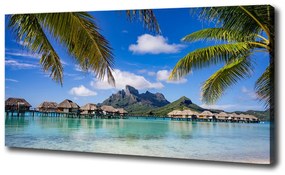 Wallmuralia Foto obraz canvas Palmy na Bora Bora 100x50