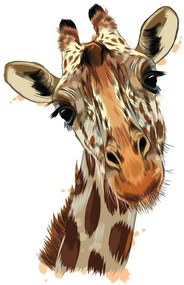 Plakát Žirafa v detailu