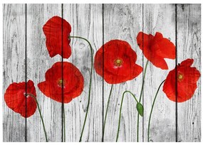 Fototapeta - Tale of Red Poppies