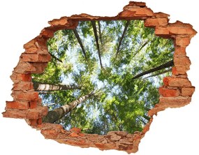 Wallmuralia Díra 3D ve zdi na stěnu Koruna stromů 90x70 cm