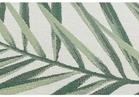 koberec COLOR 19434/062 SISAL Listy zelená JUNGLE velikost 120x170 cm | krásné koberce cz